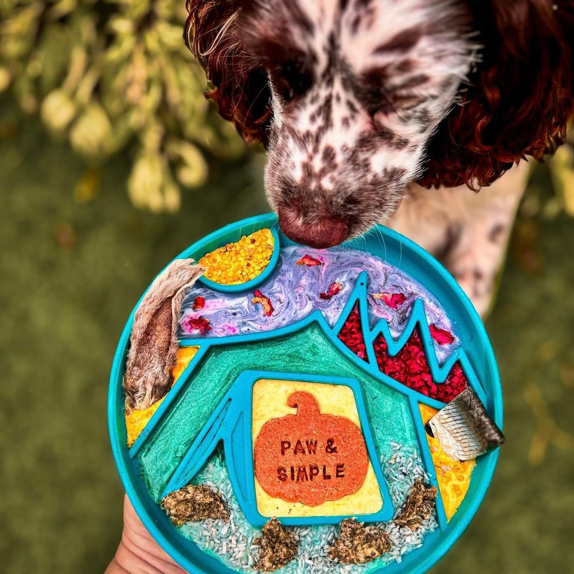 Treats, Supplements & Enrichment – The Perfect Paws Boutique